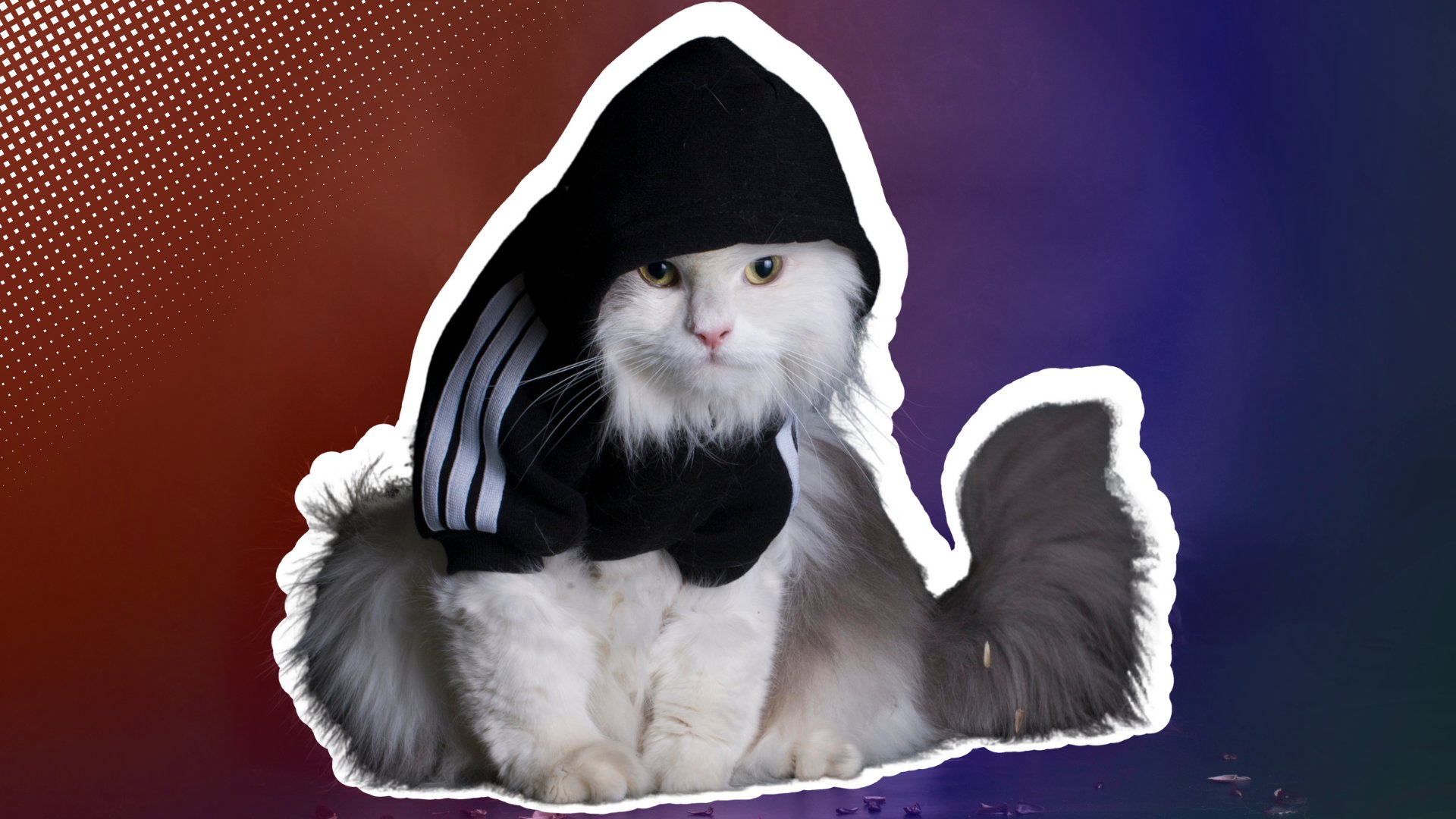 Was ist ein Gopnik? Bedeutung schnell erklärt