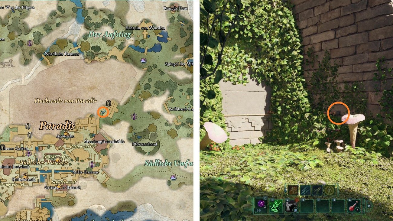 Avowed: Alle Schatzkarten und Schätze der Dämmerküste finden