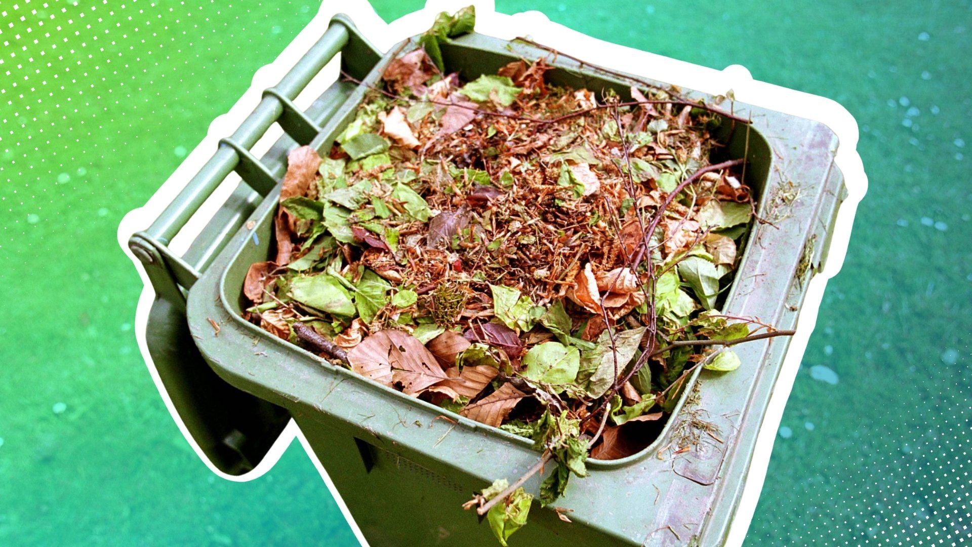 Ab März verboten: Wer diese Gartenarbeit verrichtet, riskiert eine ...