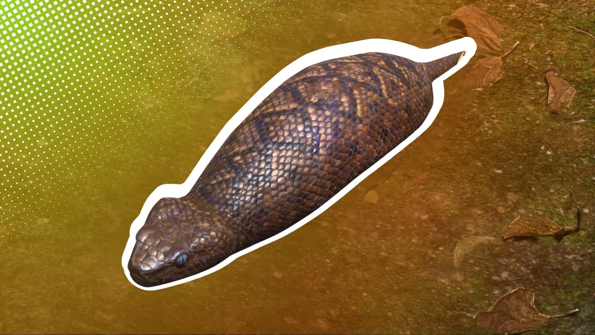 MGS3 Remake Delta: Tsuchinoko fangen & Unendlich Munition bekommen