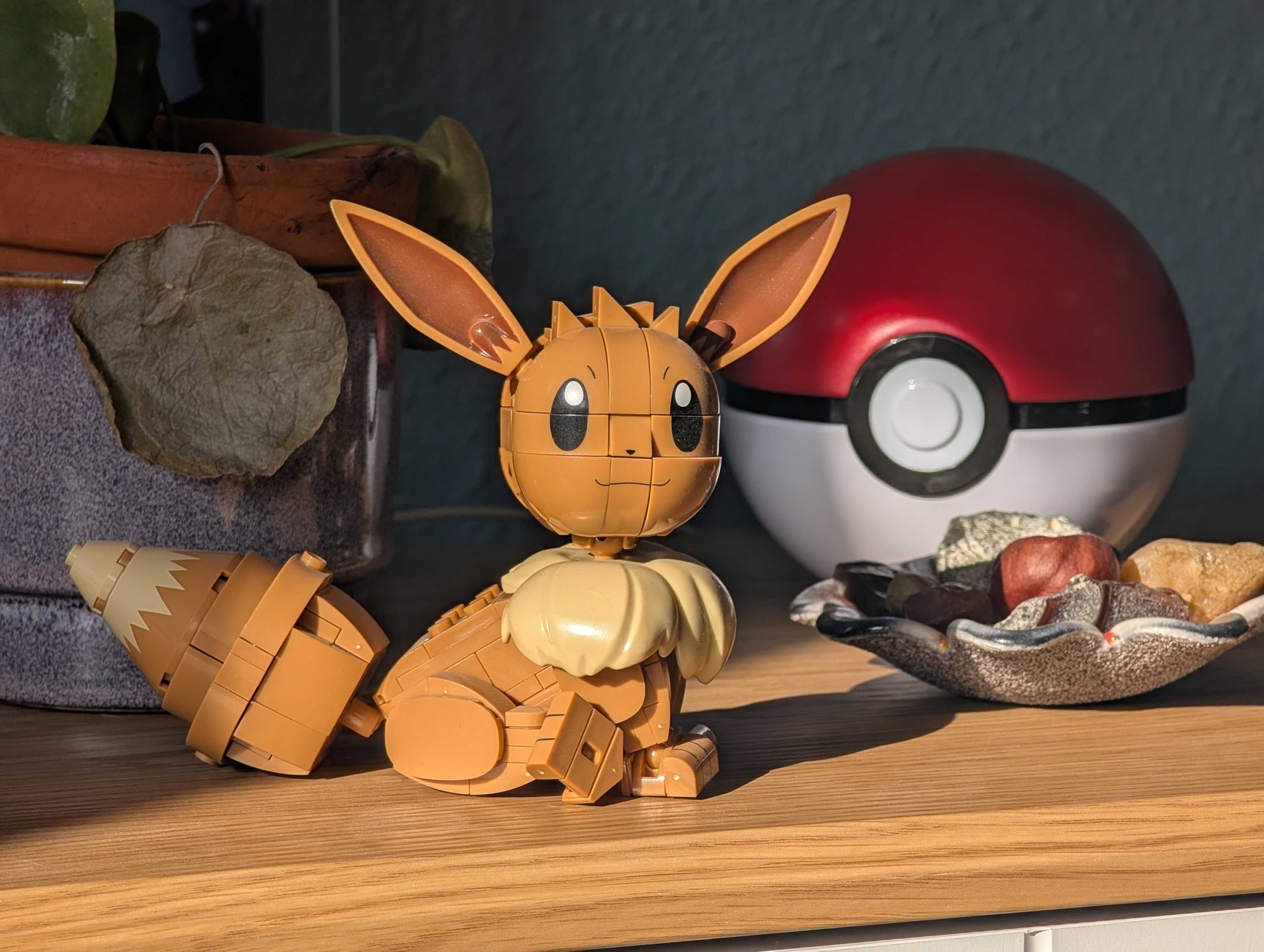 If you love cute Pokémon, you have to take a look at Amazon now ...