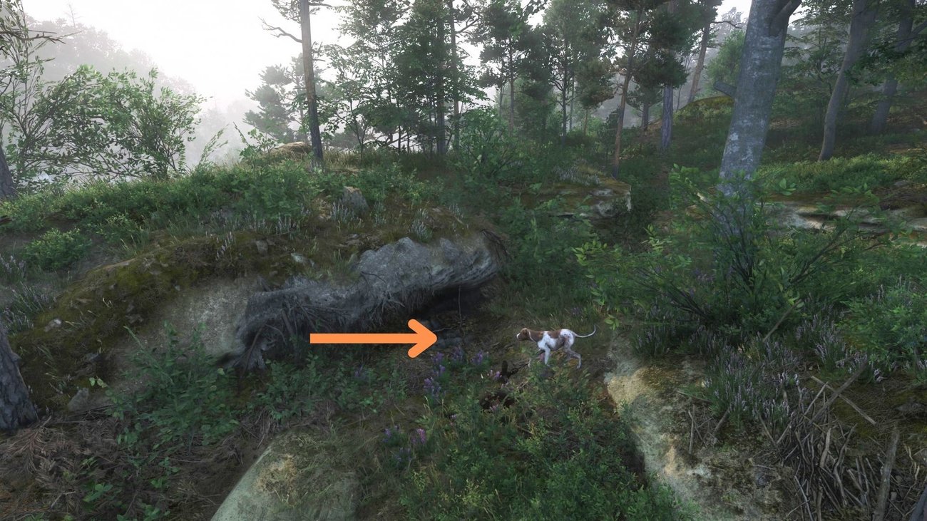 KCD 2: Alle versteckten Schätze für jede Schatzkarte finden