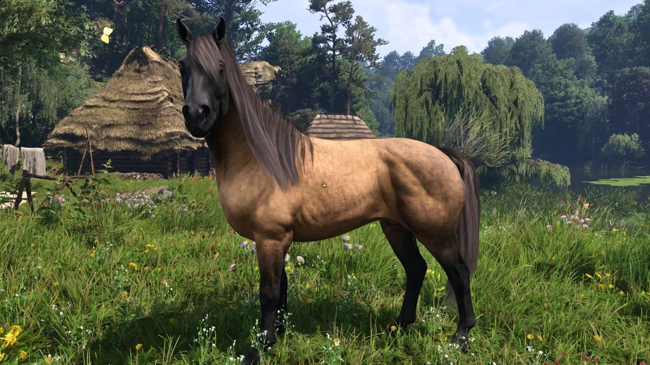 KCD 2: Die besten Pferde finden, kaufen & stehlen (Pebbles oder Hering?)