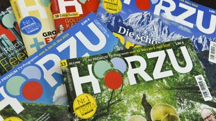 Untertitel im Fernsehen ausschalten – so geht's