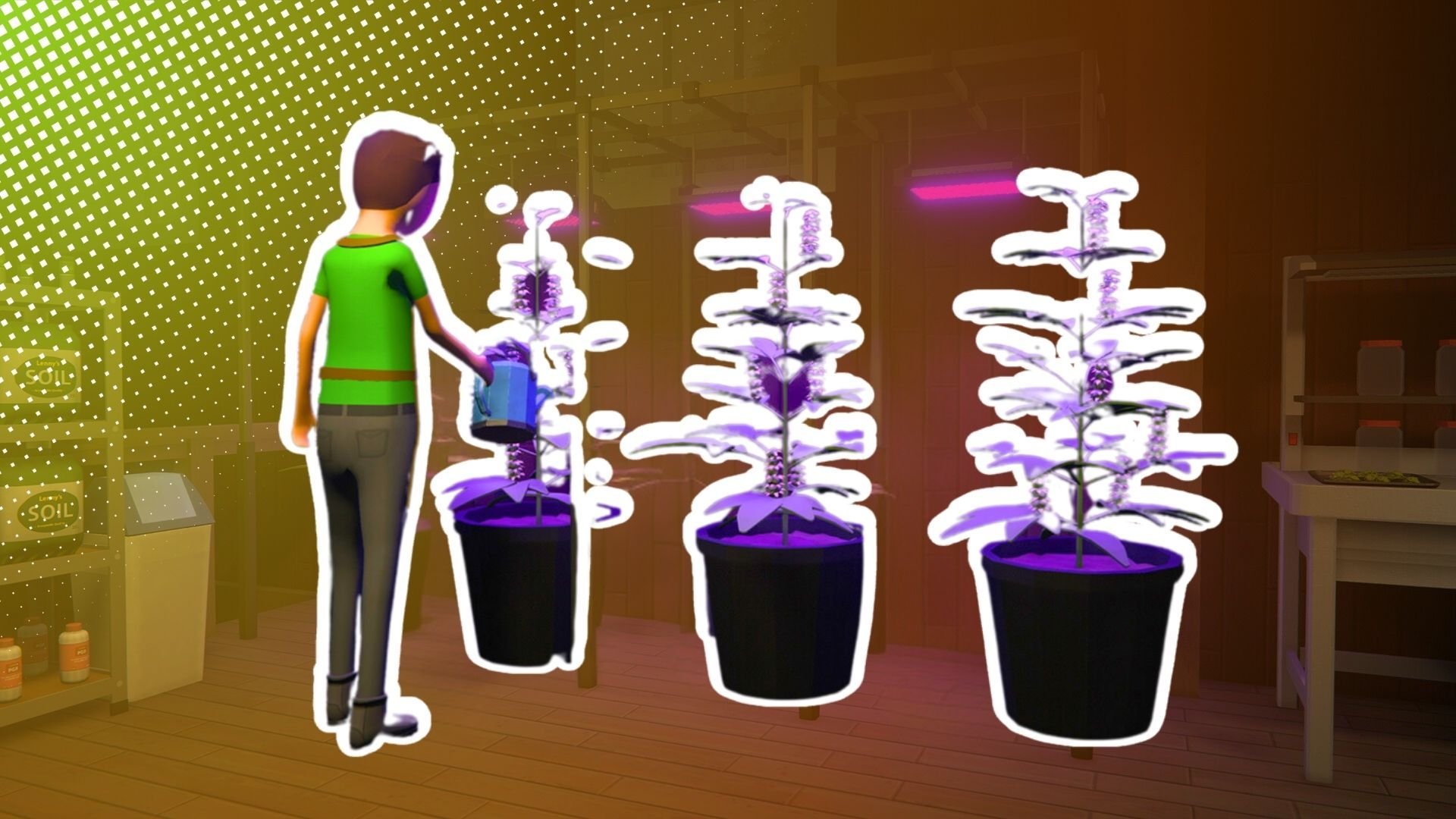 Schedule 1: Beste Rezepte und Mischungen für Gras, Meth & Kokain