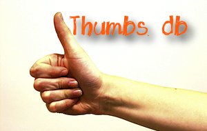 Wie kann man Thumbs.db deaktivieren und welchen Zweck hat sie?