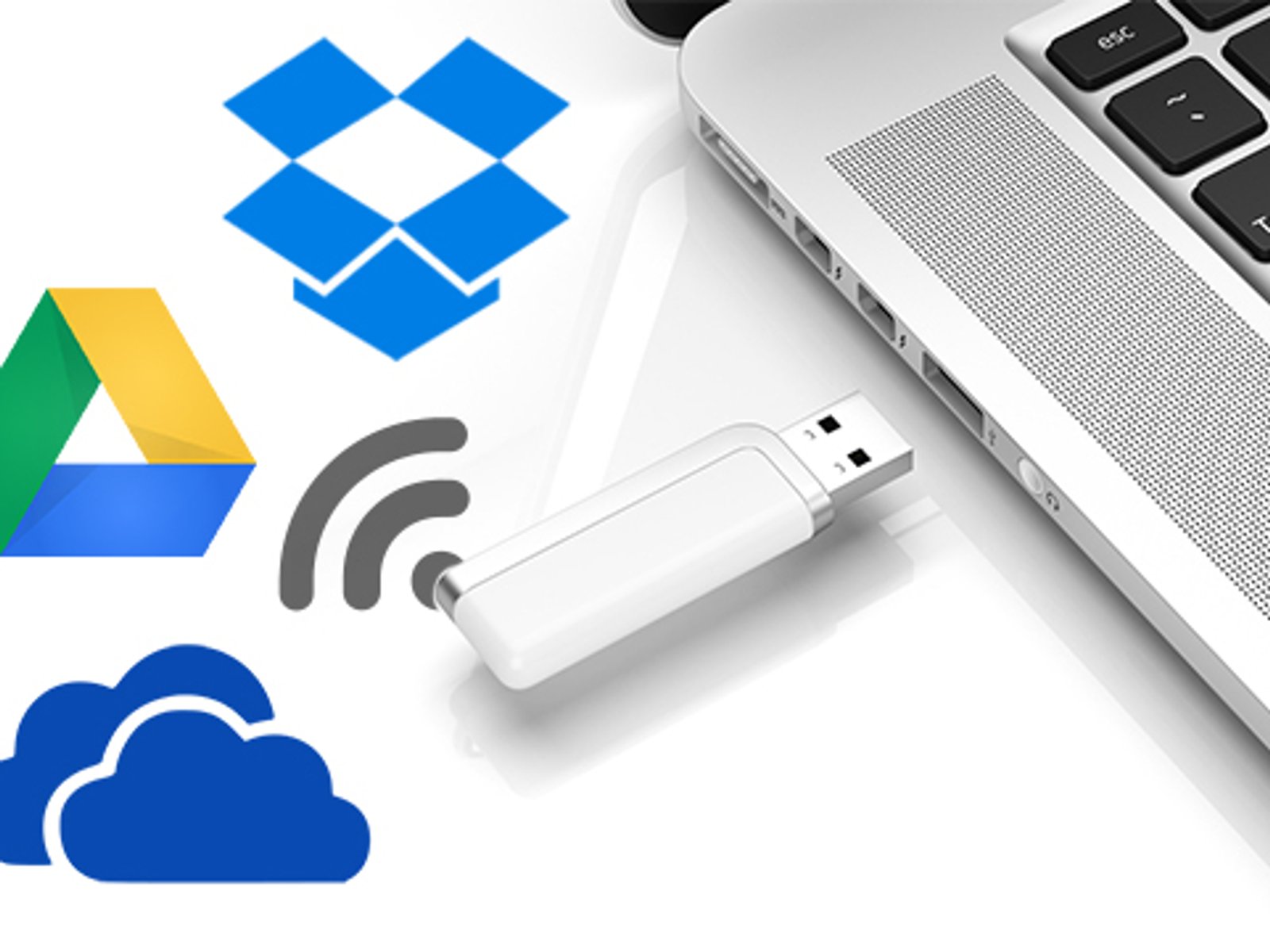 Grill Clip Schmetterling Gepard Onedrive Auf Externe Festplatte Sichern