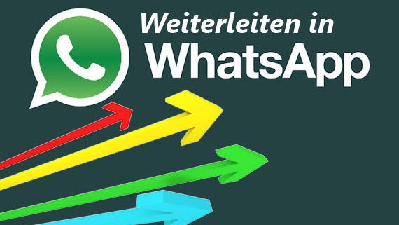 In WhatsApp weiterleiten und das Limit umgehen: Nachrichten, Bilder, Chats