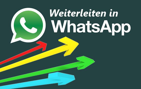 In WhatsApp weiterleiten und das Limit umgehen: Nachrichten, Bilder, Chats