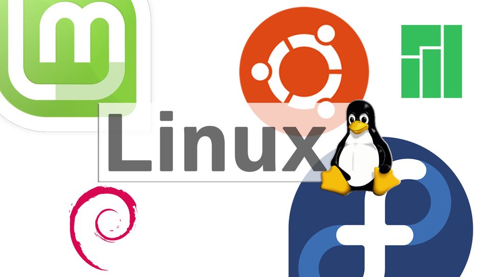 Top 12 der aktuell beliebtesten Linux-Distributionen im Vergleich