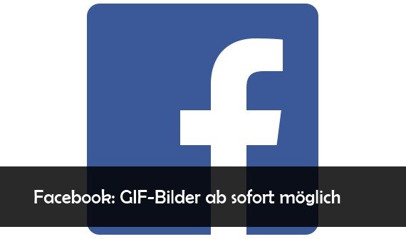 Facebook: GIFs in Kommentaren und in Posts verwenden - so klappts