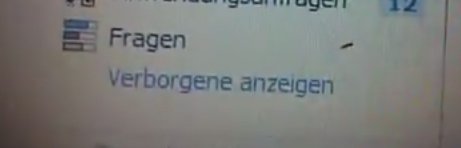 Gewittertierchen und Insekten im TFT-Monitor: Was tun?