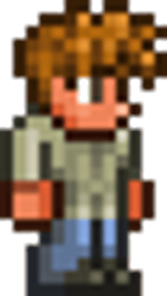 Terraria: NPCs - Welche es gibt und wie sie bei euch einziehen