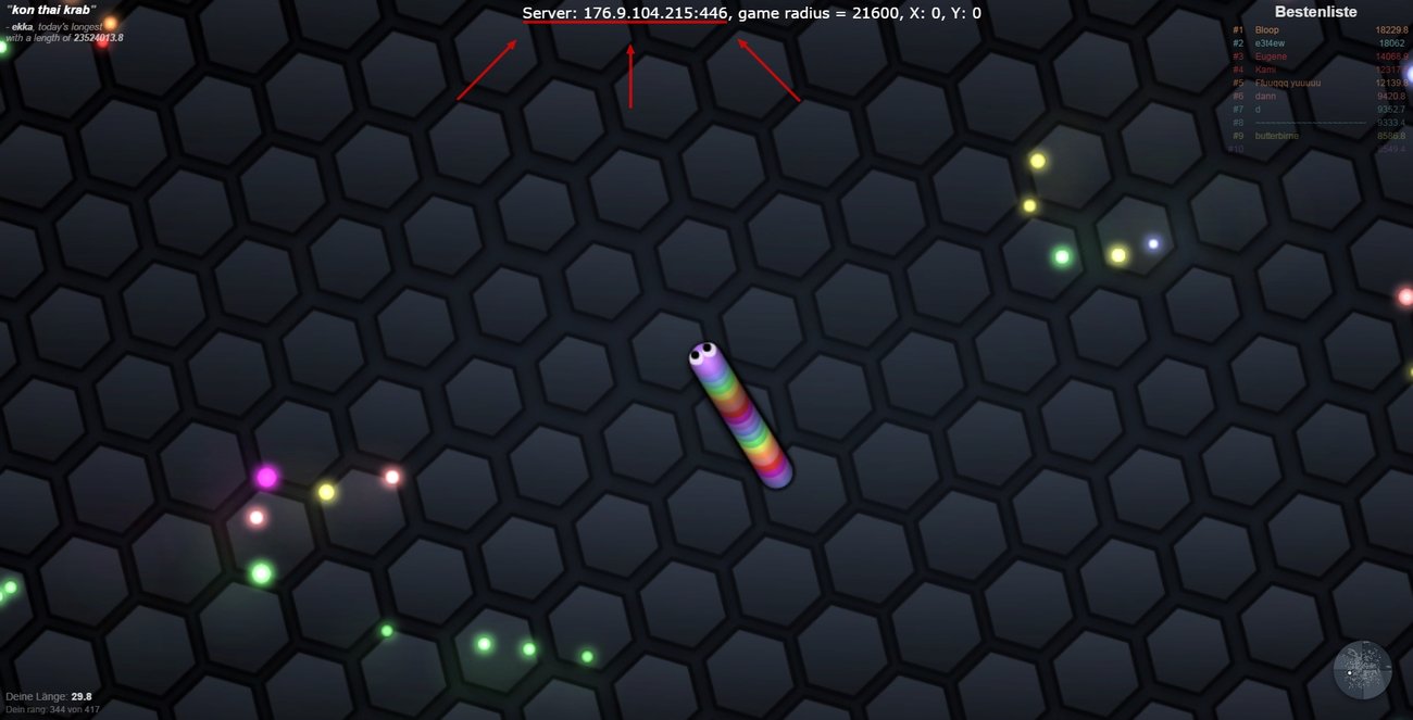 Slither.io: Auf einem Server mit Freunden im Multiplayer spielen
