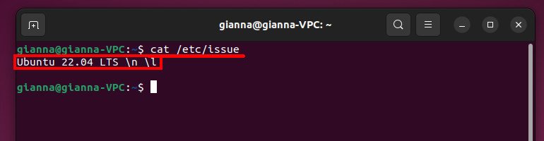 Ubuntu-Version anzeigen – so geht's
