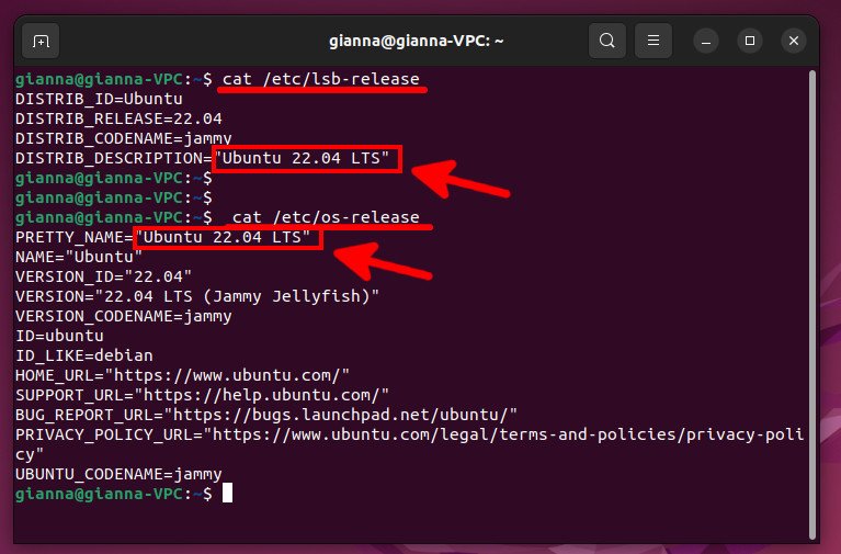 Ubuntu-Version anzeigen – so geht's
