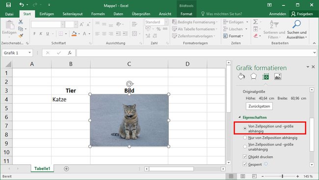 Bilder in Excel einfügen – so geht's