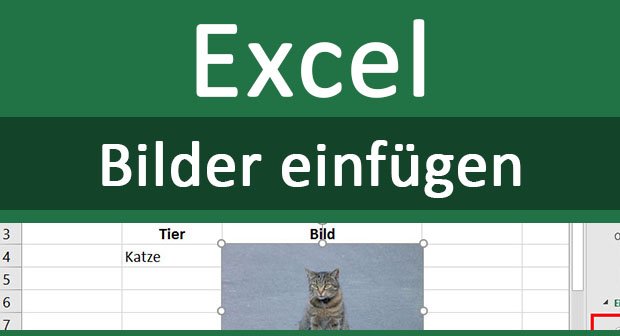 Bilder in Excel einfügen – so geht's