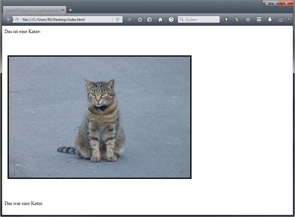 Bild einfügen mit HTML: so geht's
