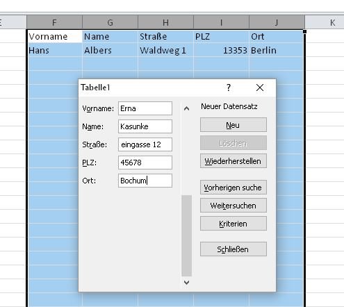 Eine Excel Eingabemaske erstellen – Beispiel