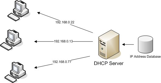 DHCP aktivieren & deaktivieren – so geht's
