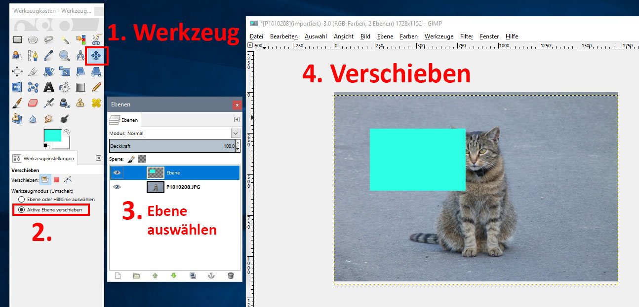 GIMP: Ebene verschieben – so geht's
