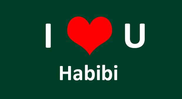 Was heißt Habibi & Habibo? – Beleidigung, Kompliment oder beides?