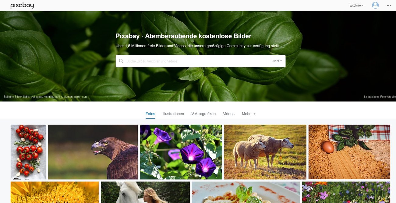 Copyright-freie Bilder - 3 Seiten für lizenzfreie Fotos