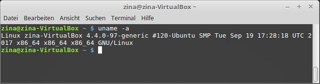 Linux-Version anzeigen (Distribution & Nummer) – so geht's