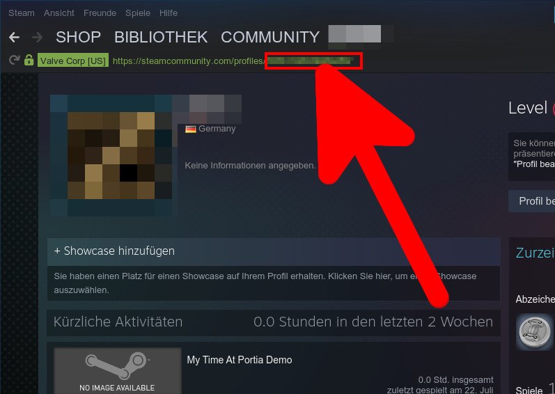 Steam-ID herausfinden – so geht's