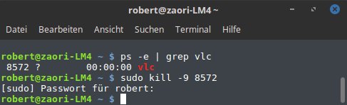 Die 15 wichtigsten Linux-Befehle im Terminal