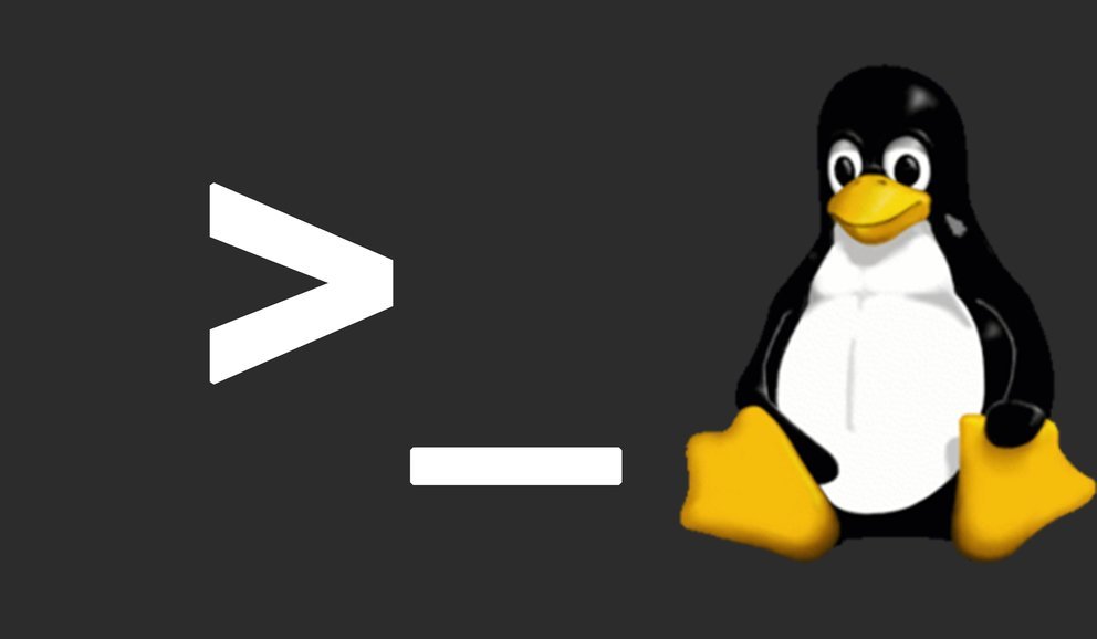 Linux: copy file and directory – so kopiert ihr Dateien und Verzeichnisse