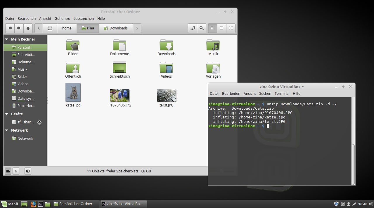 Linux unzip: ZIP-Dateien entpacken per Terminal – so geht's