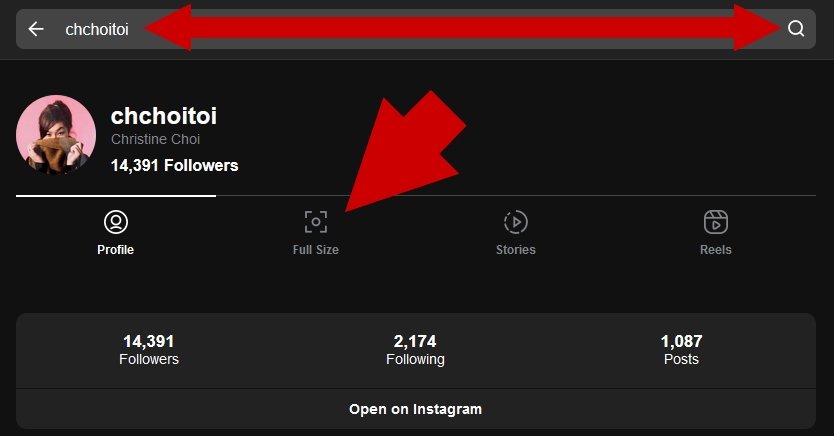 Instagram: Profilbild groß anzeigen – so gehts