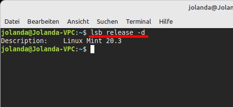 Linux-Version anzeigen (Distribution & Nummer) – so geht's