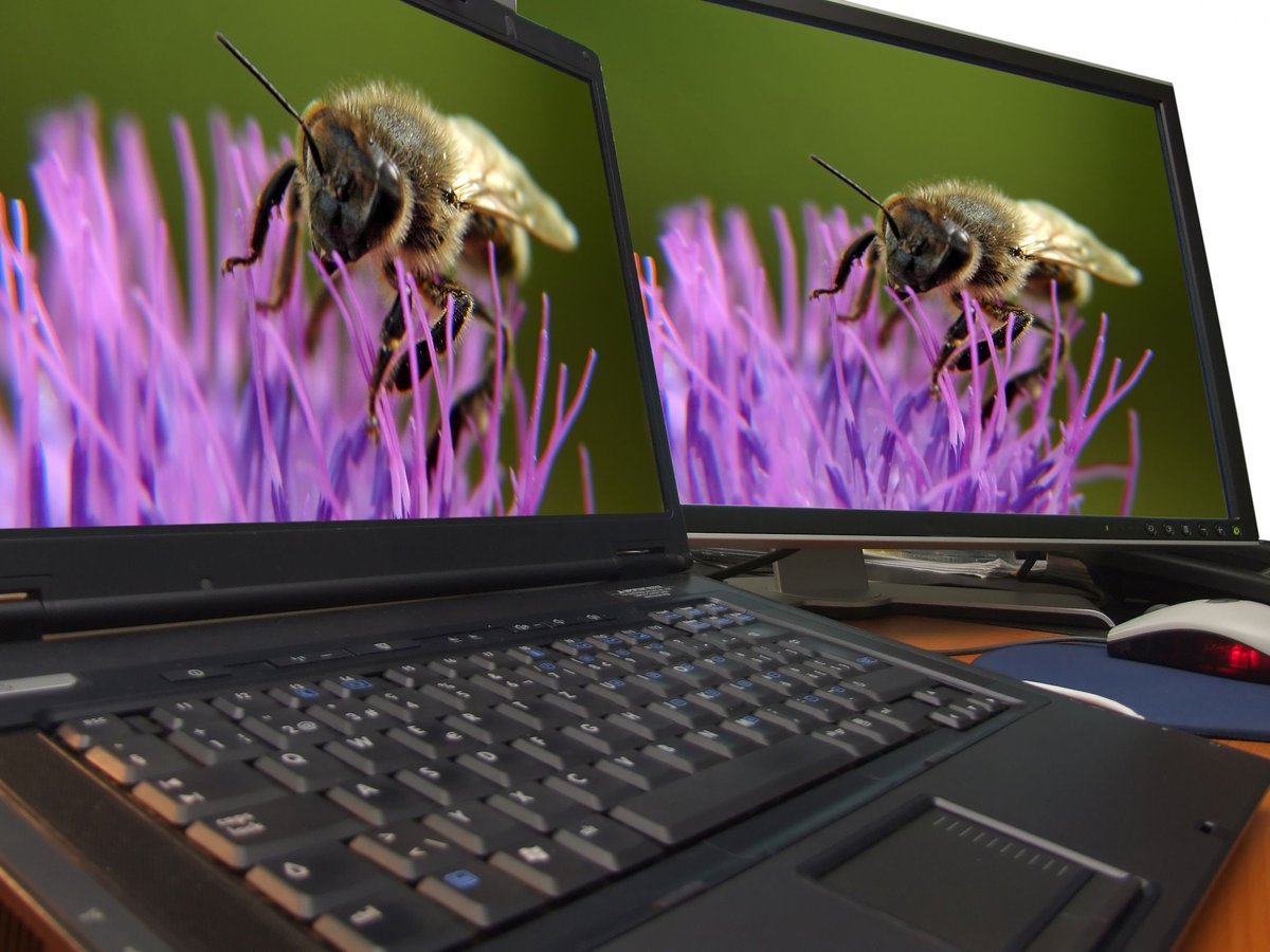 Displayport-Splitter: Tipps und Preise