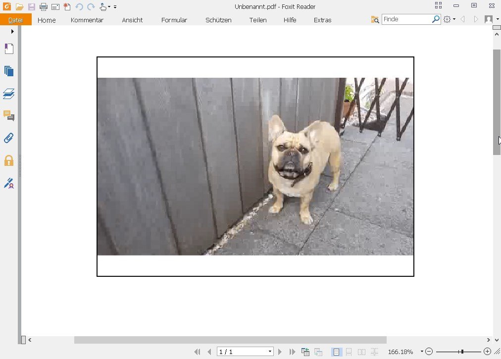 GIF in PDF einfügen: Mit diesen Tools geht’s kostenlos