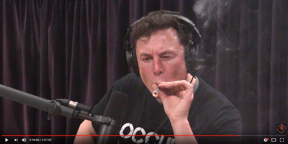 Kiffender Tesla Chef Elon Musk „bufft Sich Straff“ Vor Laufender Kamera