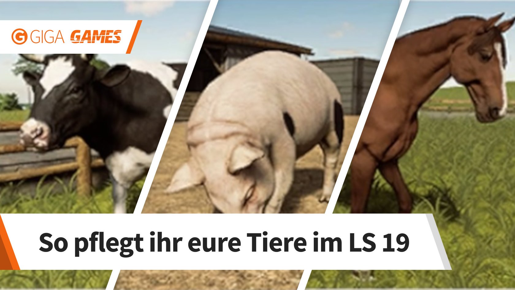 Landwirtschafts-Simulator 19: Tiere kaufen, füttern und züchten - Infos ...