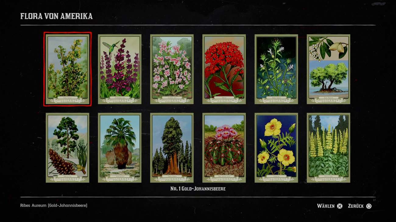 Red Dead Redemption 2: Alle Zigarettenbilder schnell finden - so geht's