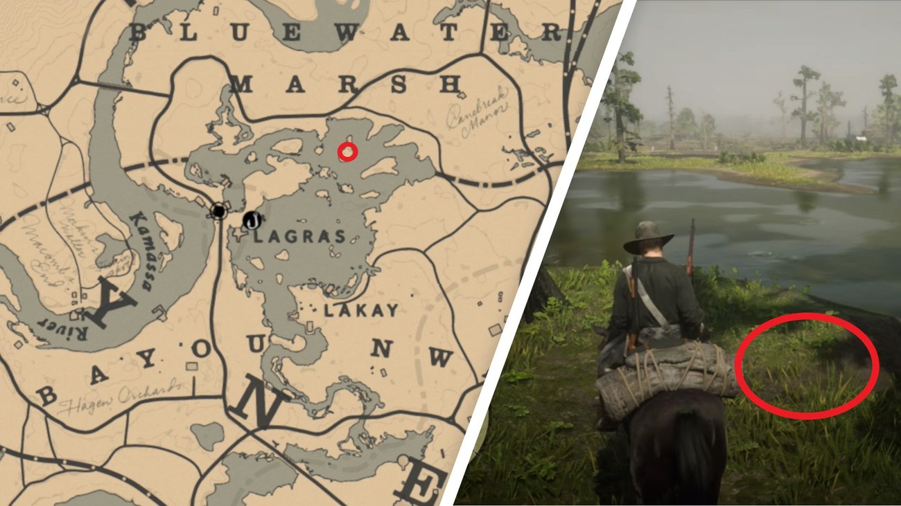 Red Dead Online: Bluewater Marsh Schatz - alle 4 möglichen Fundorte