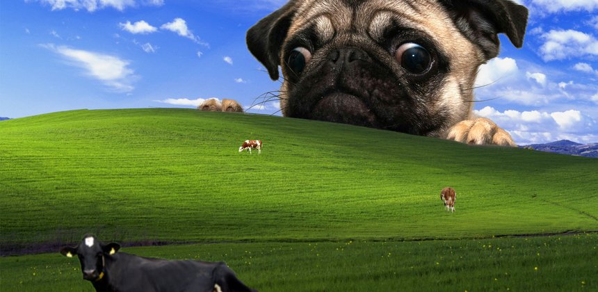 macOS Monterey Wallpaper ändern: So einfach geht's