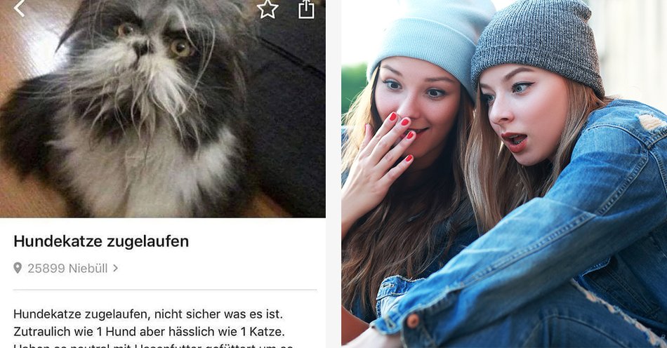 eBay-Kleinanzeigen-Fails: Diese 26 Anzeigen sind niemals nicht lustig