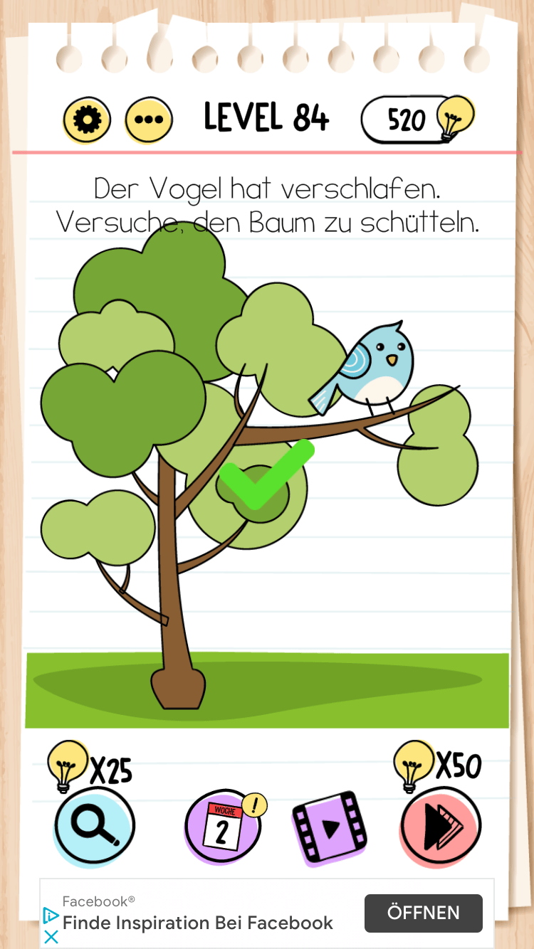 Luxus Der Vogel Hat Verschlafen Fotos
