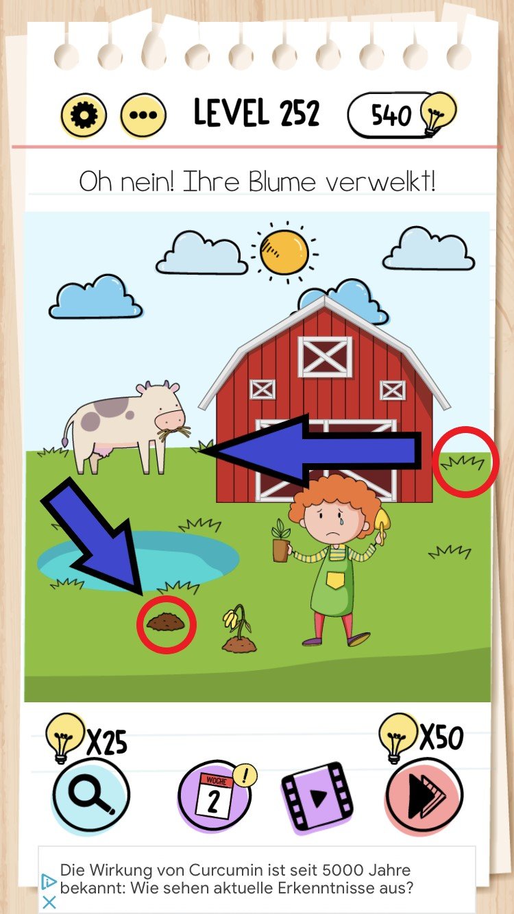 Brain Test: Level 251 bis Level 260 - Lösungen