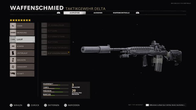 CoD Cold War: DMR 14 - Bestes Setup, Aufsätze & Werte