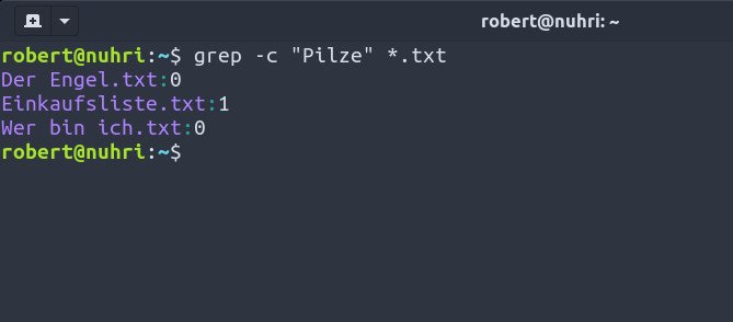 grep: Linux-Befehl mit Beispielen erklärt