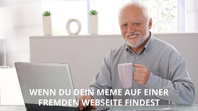 Top 10 Memes: Statistik zeigt beliebteste Witzbilder des Internets