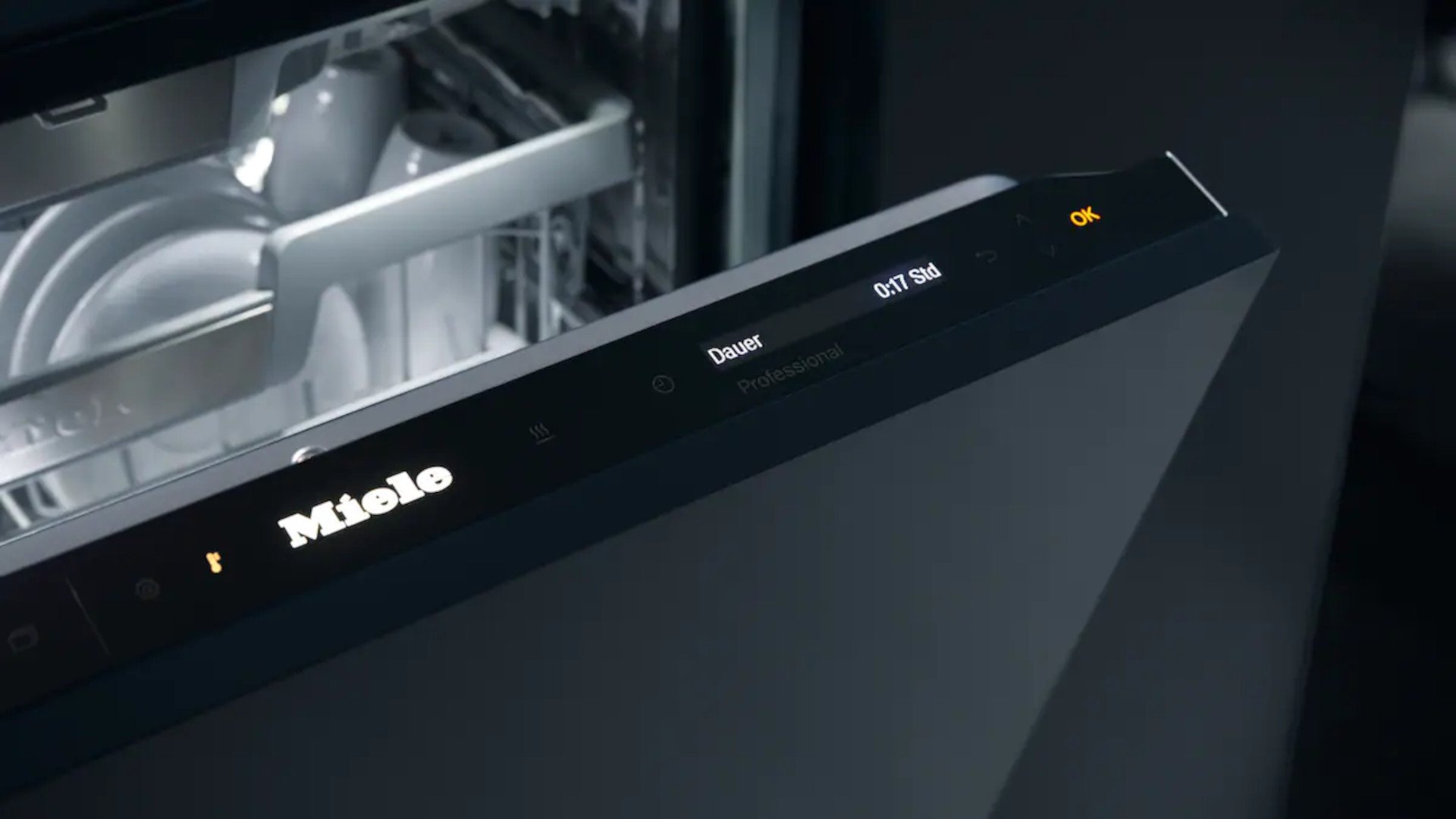 Miele Geschirrspuler Fehler F11