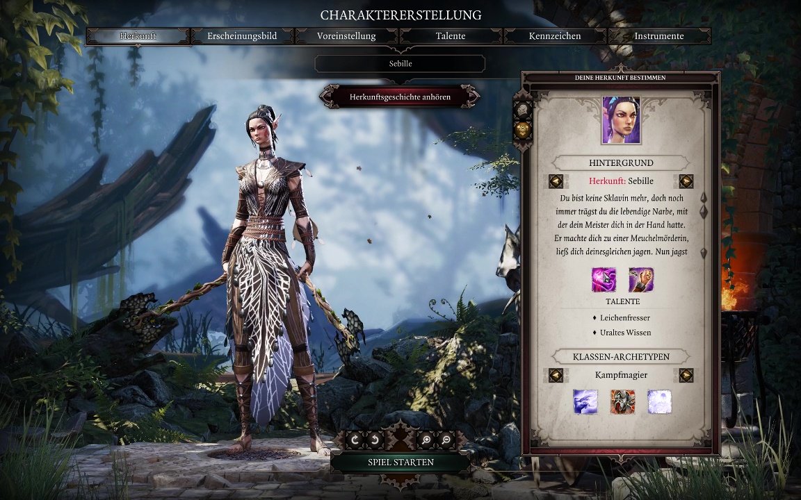 Welche Charaktere können mich in Divinity: Original Sin 2 begleiten?